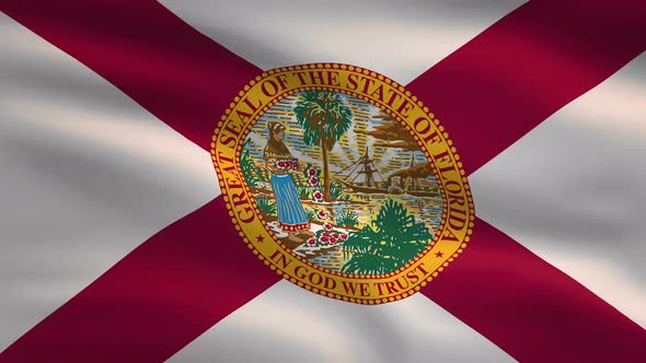 Florida State Flag Background 4K, Motion Graphics | VideoHive