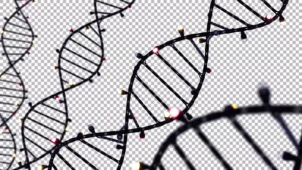 Christmas DNA Garlands, Motion Graphics | VideoHive