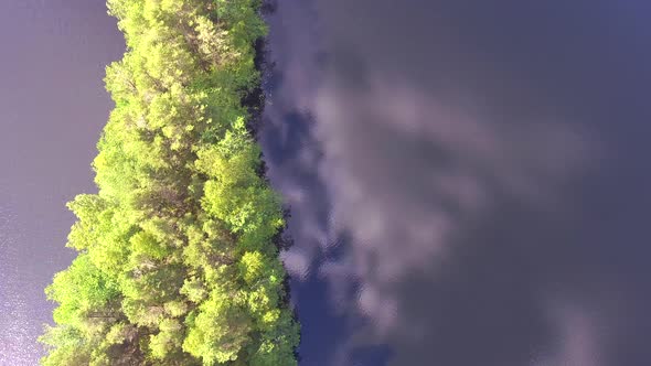 Aerial view of a small cape in a forest lake, camera straight down ...