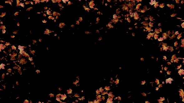 Falling Leaves | Leaves background, Motion Graphics | VideoHive