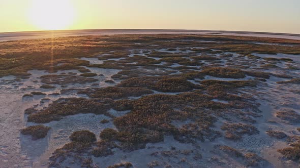 Sandy Swamp with Large Patches of Grass and Bushes, Stock Footage ...