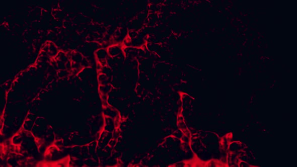 Fluid Flow, Motion Graphics | VideoHive