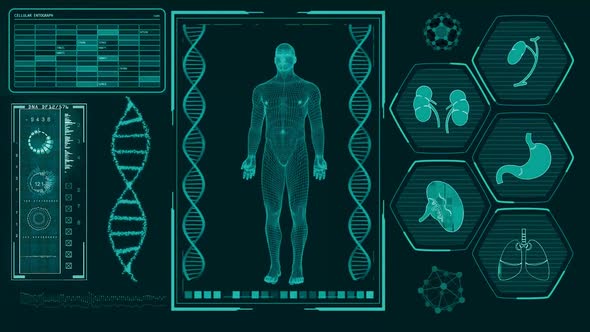 Medical HUD 3, Motion Graphics | VideoHive