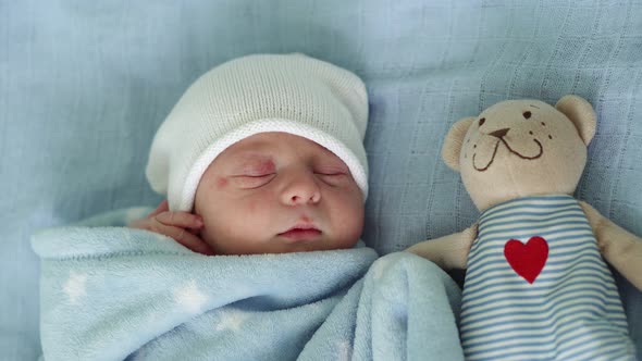 Closeup of Newborn Baby Face Portrait Early Days Sleeping With Tady ...