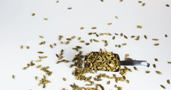 Cardamom, elettaria Cardamomum, spice falling against White Background ...