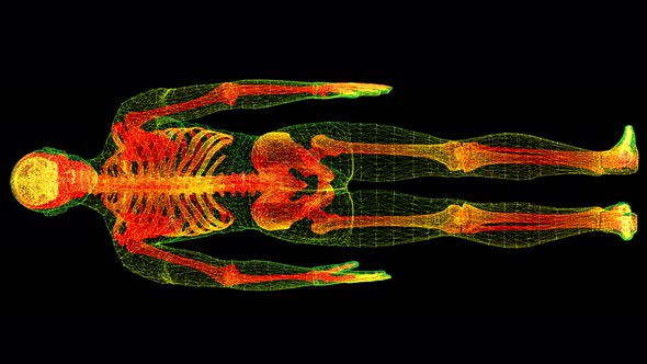 Head Up Display of Advance Human Biomedical Diagnostic Human Body 02 ...