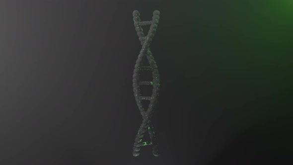 Dna Alpha Background, Motion Graphics | VideoHive