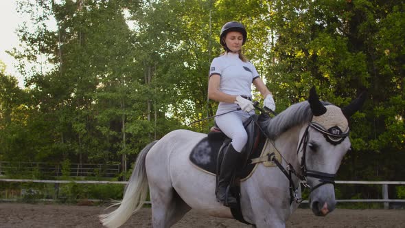 Perfect Horseback Riding. Slow Motion, Stock Footage | VideoHive