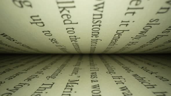 Words Inside of a Book 21, Stock Footage | VideoHive