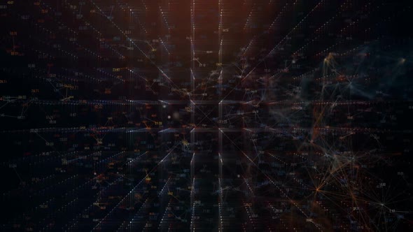 Data Network, Motion Graphics | VideoHive