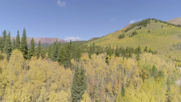 Fall foliage at Boreas Pass, CO, Stock Footage | VideoHive