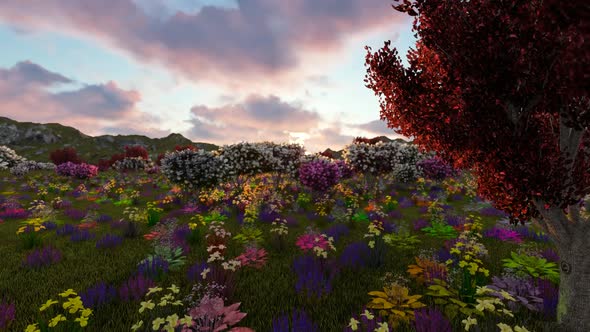 Flower Garden, Motion Graphics | VideoHive
