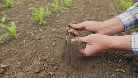 Male Hands Touching Dry Ground in Field, Close-up, Stock Footage ...