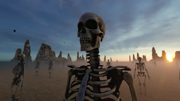 Skeleton and Desert Landscape, Motion Graphics | VideoHive