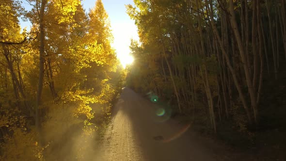 Fall colors on Boreas Pass, Colorado, Stock Footage | VideoHive