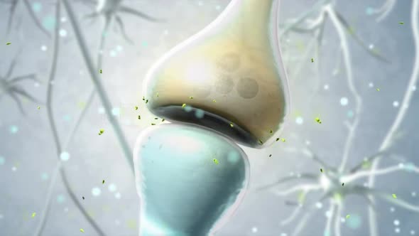 Synaptic transmission, human nervous system. Brain synapses., Motion ...