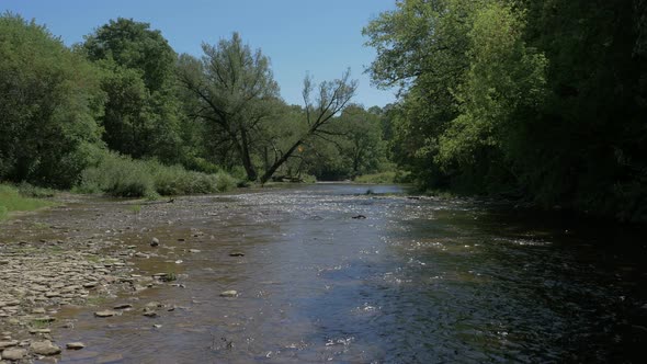 River at Bronte Creek Provincial Park, Stock Footage | VideoHive