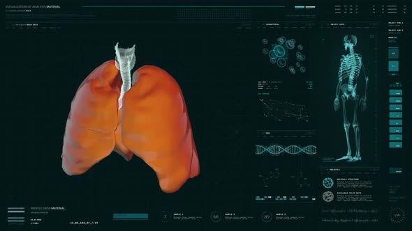 Human Patient Respiratory System Examination Via X-ray Screening Device ...