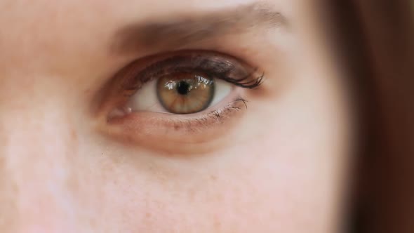 Close Up View Brown Left Eye of a Female by DovidovichVideo | VideoHive
