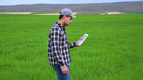 Agronomist Walks Across the Field and Works Online in a Tablet a Farmer ...