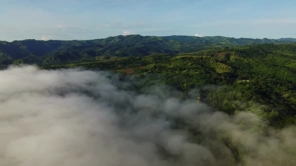 humid tropical forest and fog in Costa Rica. The top of the mountain ...