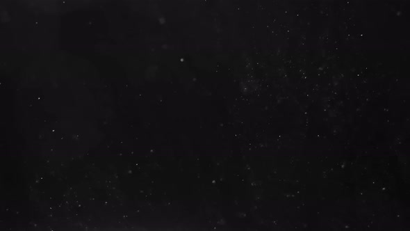 Dust Particle 4K, Stock Footage | VideoHive