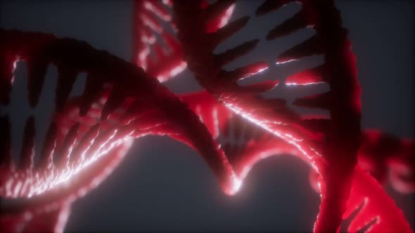 Loop Double Helical Structure of Dna Strand Closeup Animation, Motion ...