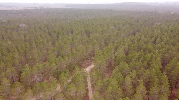 Rough Road Trails Surrounded By Green Forest In Leota, Michigan. aerial ...