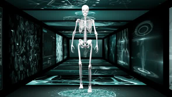Animation of human skeleton walking hallway of scientist screen, Motion ...