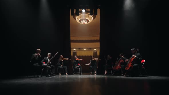 Octet of String and Wind Instrument Musicians are Sitting on Scene of ...