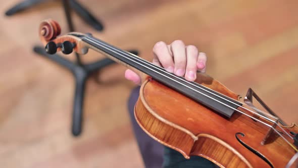 violinist's fingers on violin strings. Playing a musical instrument ...