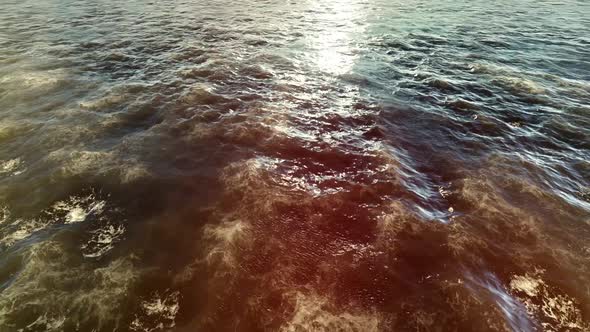 Ocean Loop, Motion Graphics | VideoHive