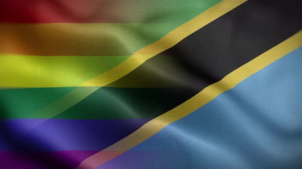 LGBT Tanzania Flag Loop Background 4K, Motion Graphics | VideoHive