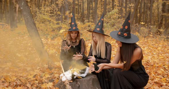 Girls in Witch Costumes Doing Magic in the Autumn Park, Stock Footage
