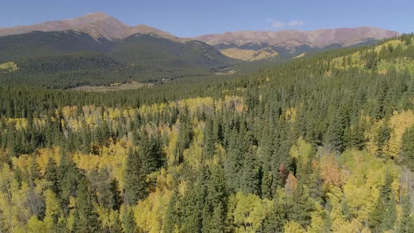 Fall foliage at Boreas Pass, CO, Stock Footage | VideoHive