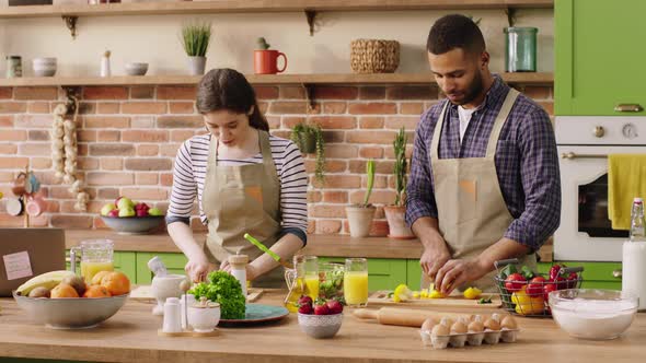 Modern and Large Kitchen Happy and Enthusiastic, Stock Footage | VideoHive