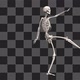 Skeleton Dance, Motion Graphics | VideoHive