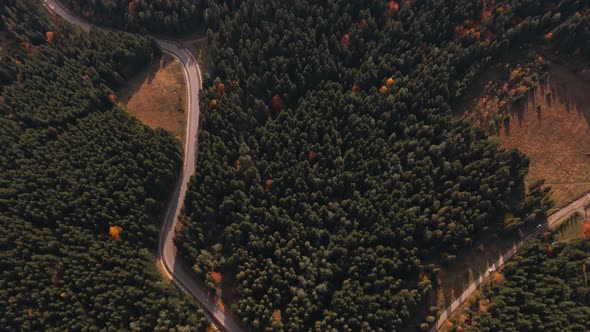 Aerial Top Down Countryside Road Between Hills Green and Orange Woods ...