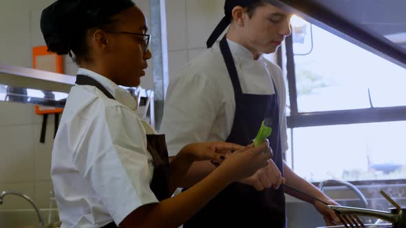 Chef talking to each other in kitchen 4k, Stock Footage | VideoHive