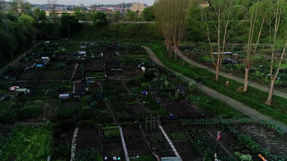 Natural Horticulture, Stock Footage | VideoHive