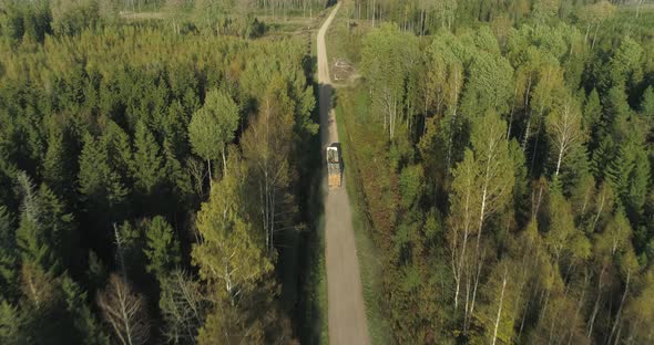 Logging Truck with Cut Tree Logs Timber Driving in Forest on Road ...