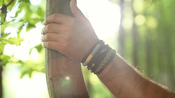 Man Holding On To A Tree., Stock Footage | VideoHive