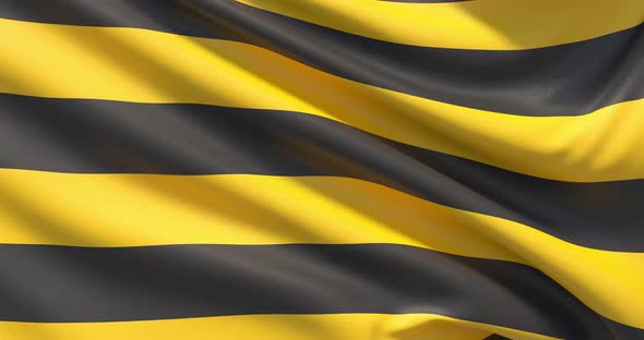 Georgian Ribbon, Motion Graphics | VideoHive