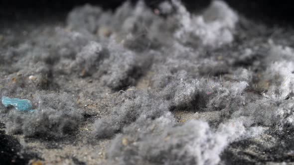 Macro Dust Shots with Hair. The Pollution That the Vacuum Cleaner ...