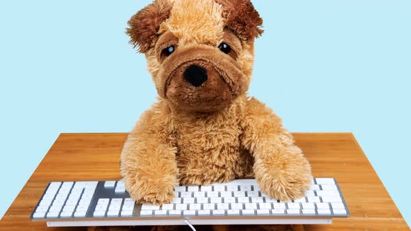 Teddy Bear Typing on Keyboard, Stock Footage | VideoHive