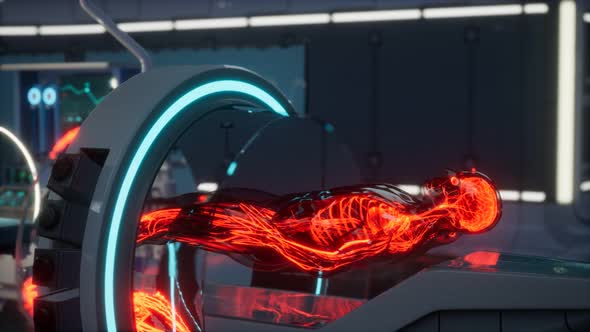 Science Anatomy Scan of Human Blood Vessels, Motion Graphics | VideoHive