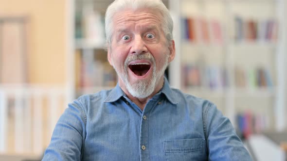 Old Man Celebrating Success, Stock Footage | VideoHive