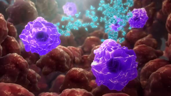 3D Medical Animation of antibodies that enhance cells, Motion Graphics