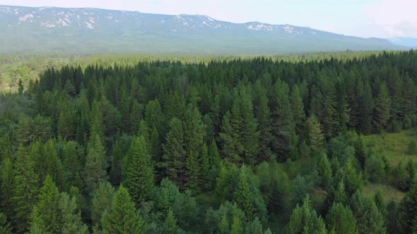 Forests and Mountains of the Southern Urals Near the Village of Tyulyuk ...