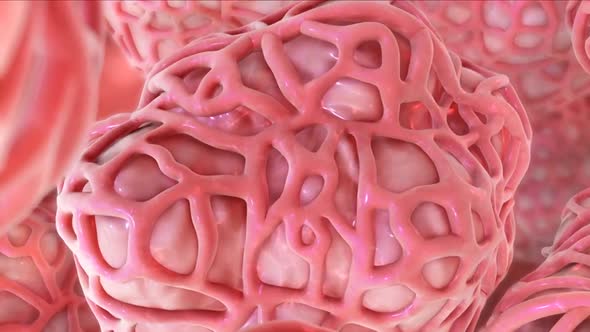 alveolar animation in the lung, Motion Graphics | VideoHive
